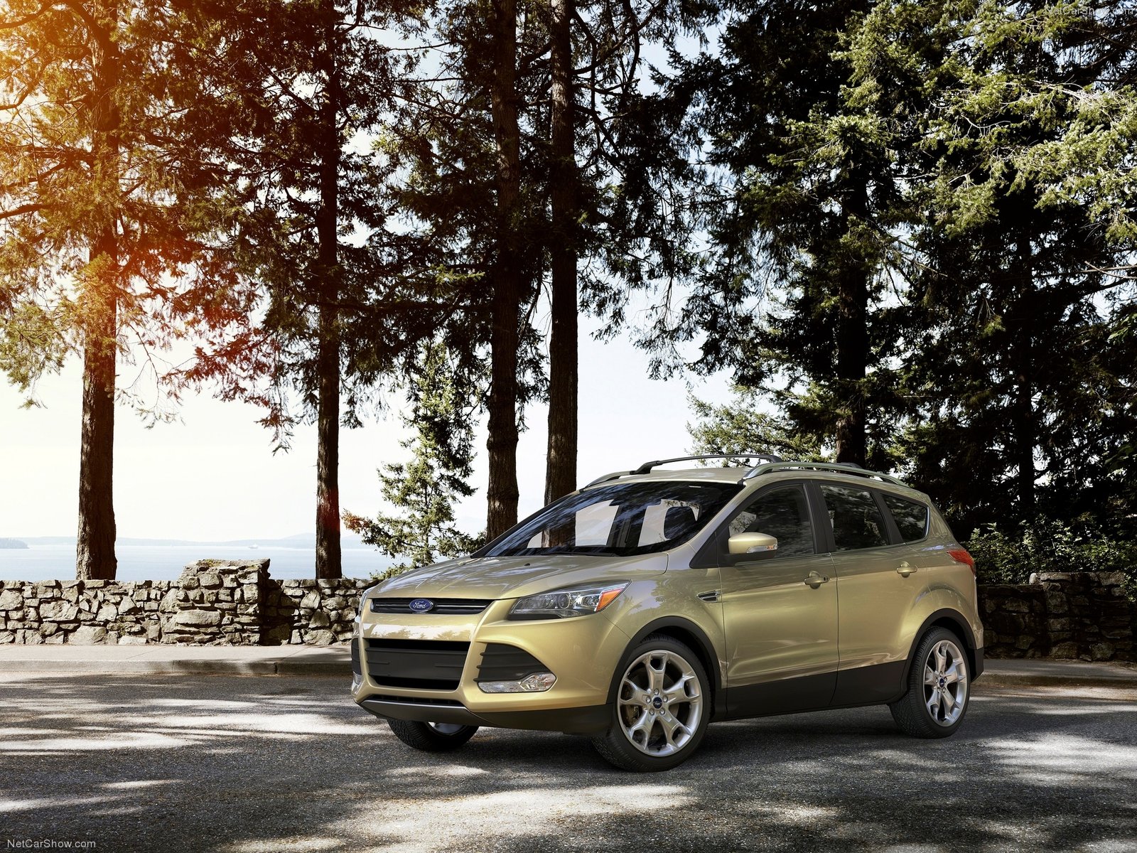 Tuning Ford Escape 2013 online, accessories and spare parts for tuning ...